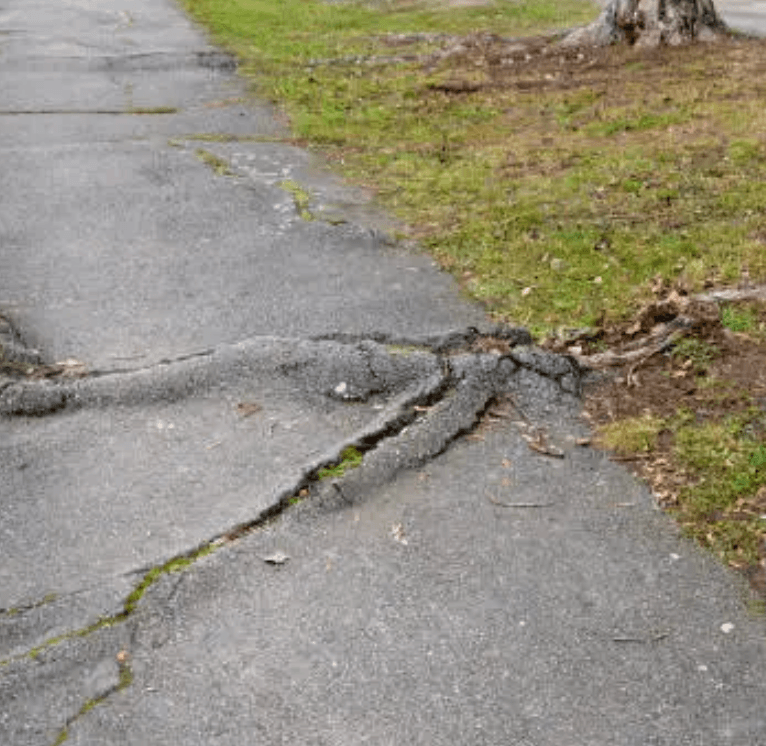 How to Tell If You Need a Concrete Driveway Repair or Replace It in ...